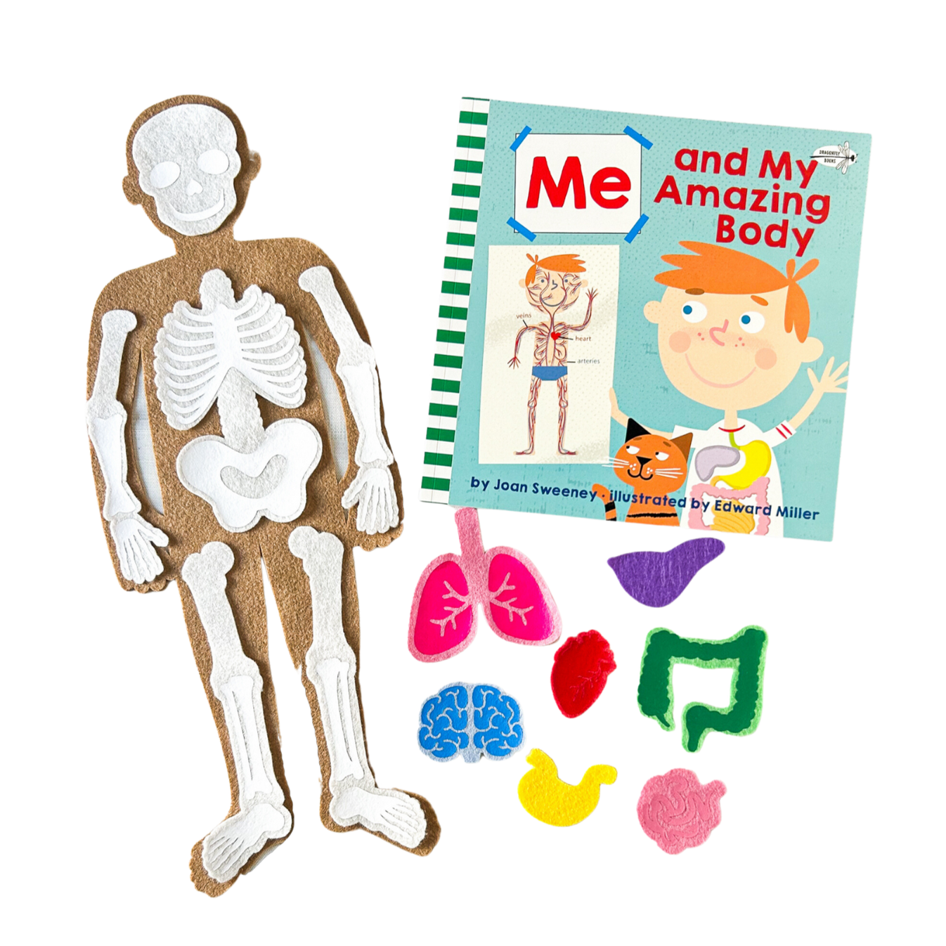 Me and My Amazing Body – Rally Felt Co.